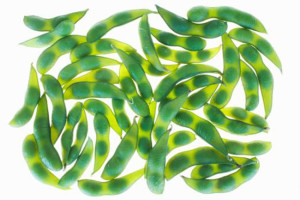 Fitoestrógenos ¿Que Son Y Para Que Sirven? » Naturalmente Bien